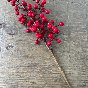 Multi-pack 13" Red Berry Branch Outdoor (stem for Floral Arrangements ...
