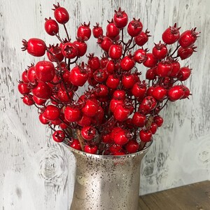 Multi-pack 17" Red Berry Branch Outdoor (stem for Floral Arrangements ...