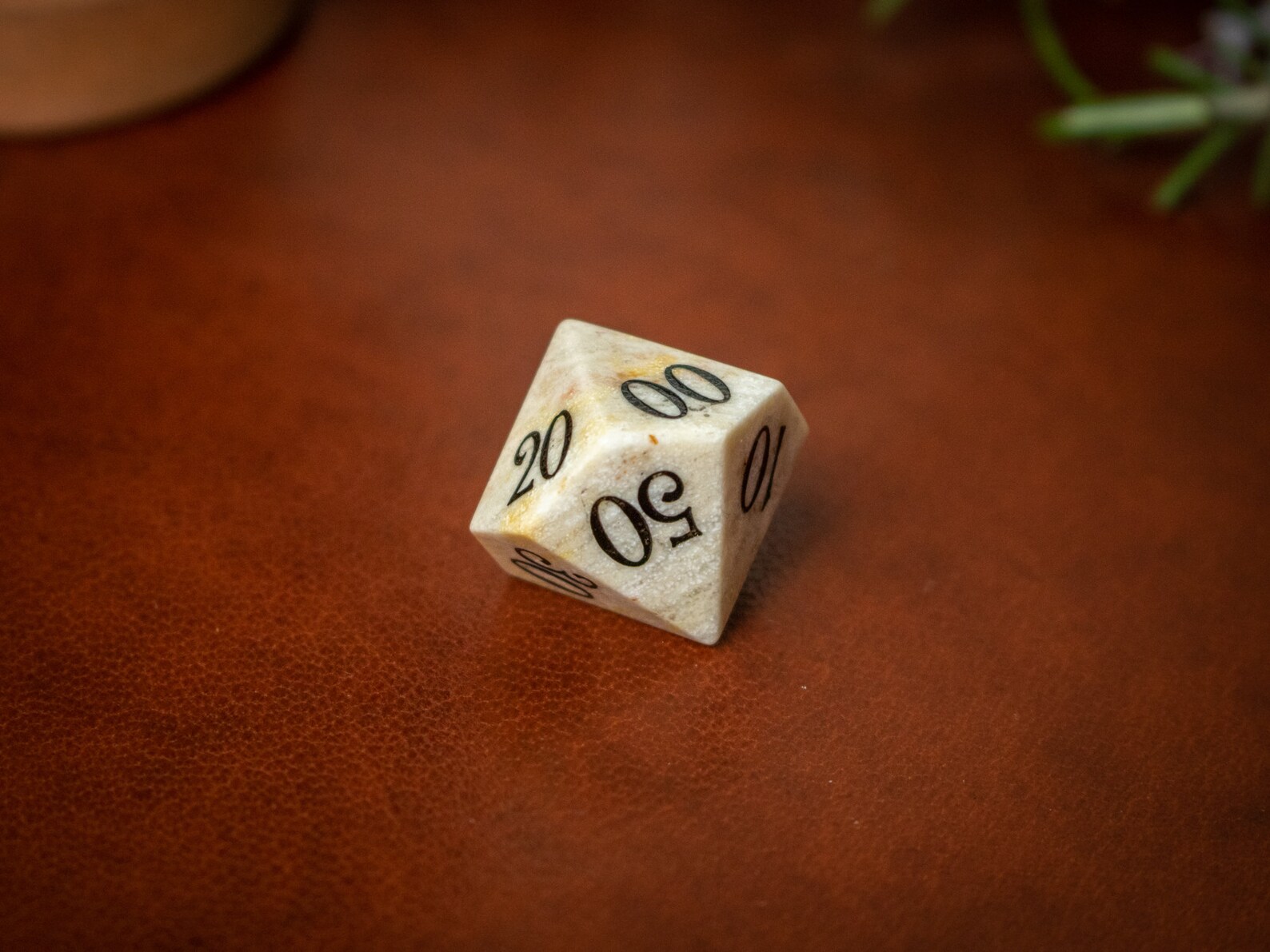 Hydra's Teeth - Fossilized Coral - Precious Gemstone Dice Set for D&D ...
