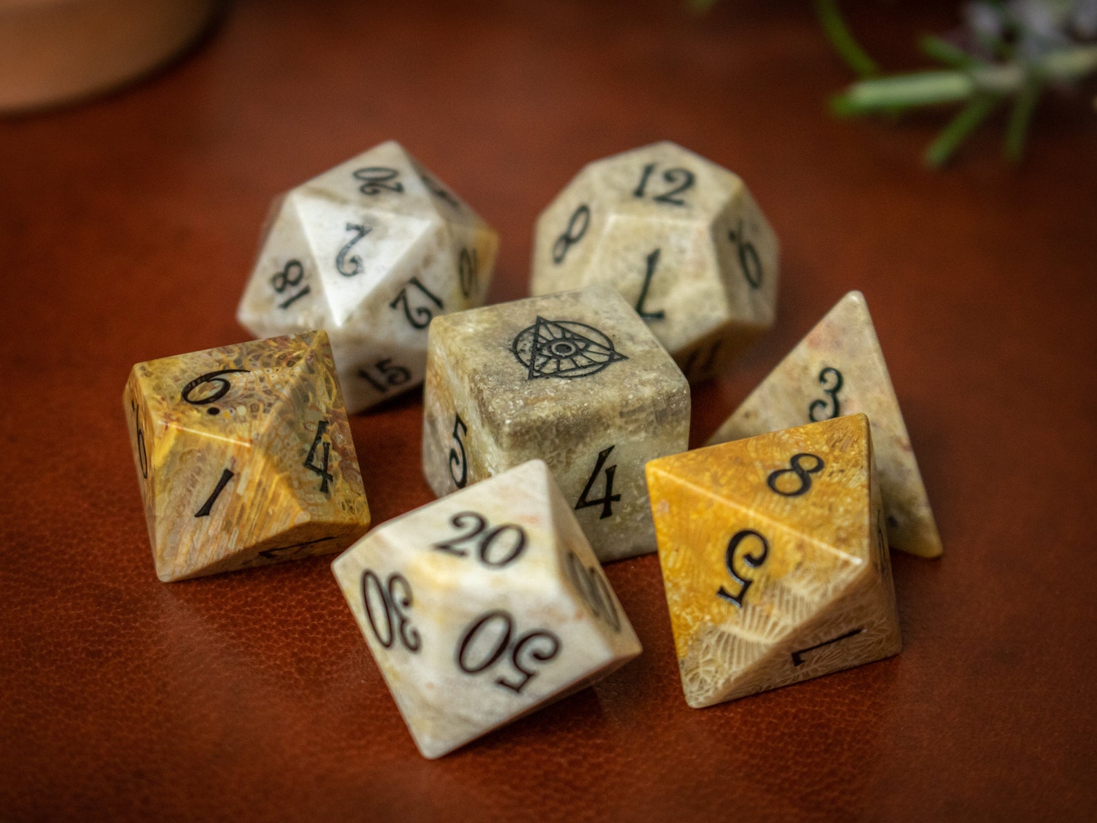 Hydra's Teeth - Fossilized Coral - Precious Gemstone Dice Set for D&D ...