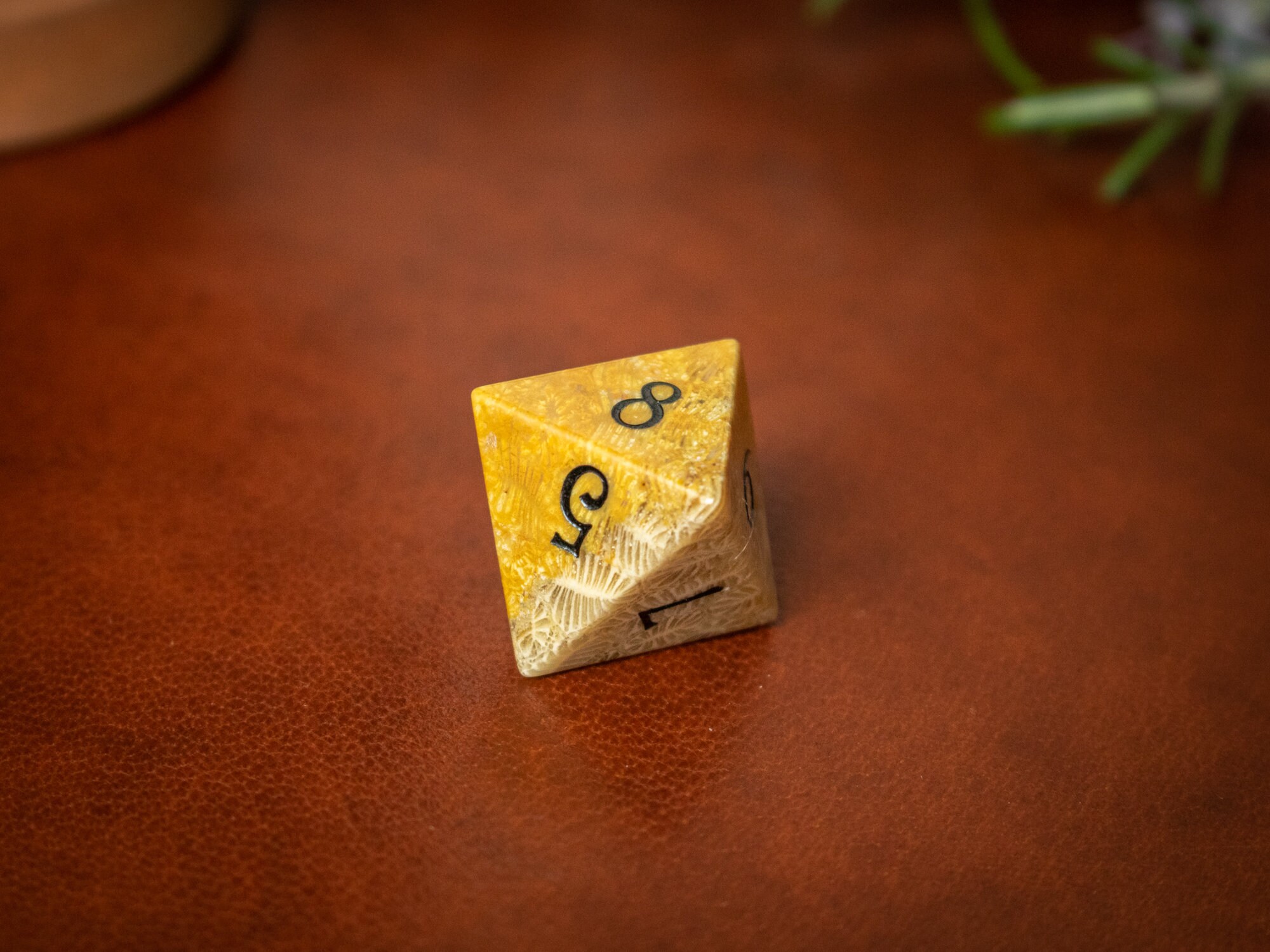 Hydra's Teeth - Fossilized Coral - Precious Gemstone Dice Set for D&D ...