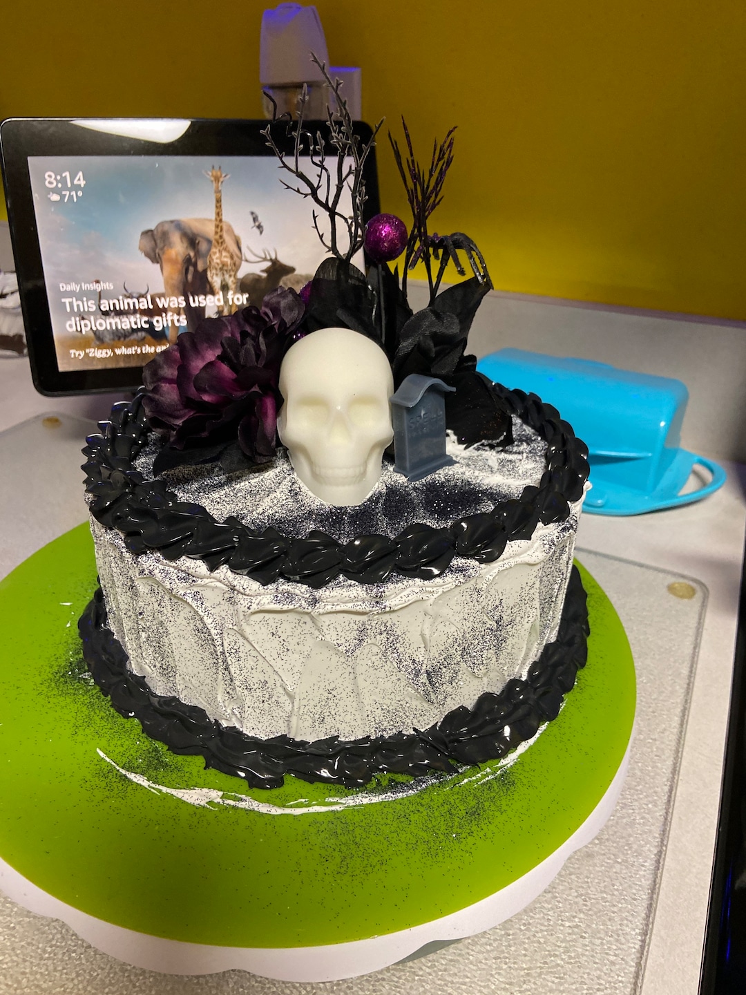 Fake Skull Halloween Cake - Etsy