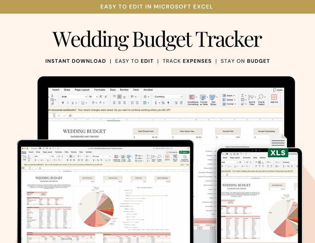 Wedding Budget, Planner Template, Wedding Budget Tracker, Wedding ...