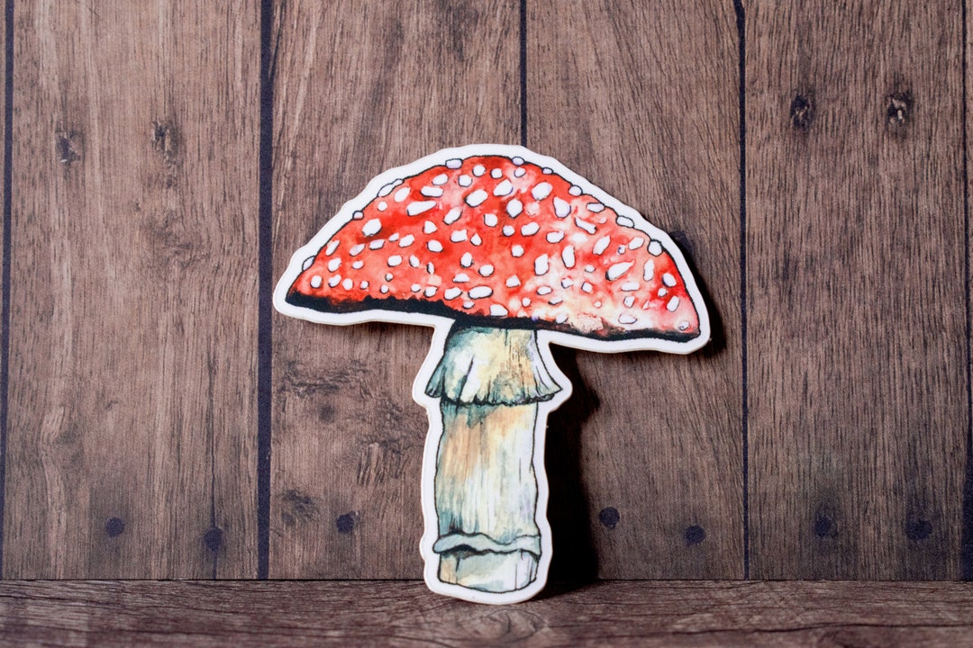 Toadstool Watercolour Sticker - Etsy