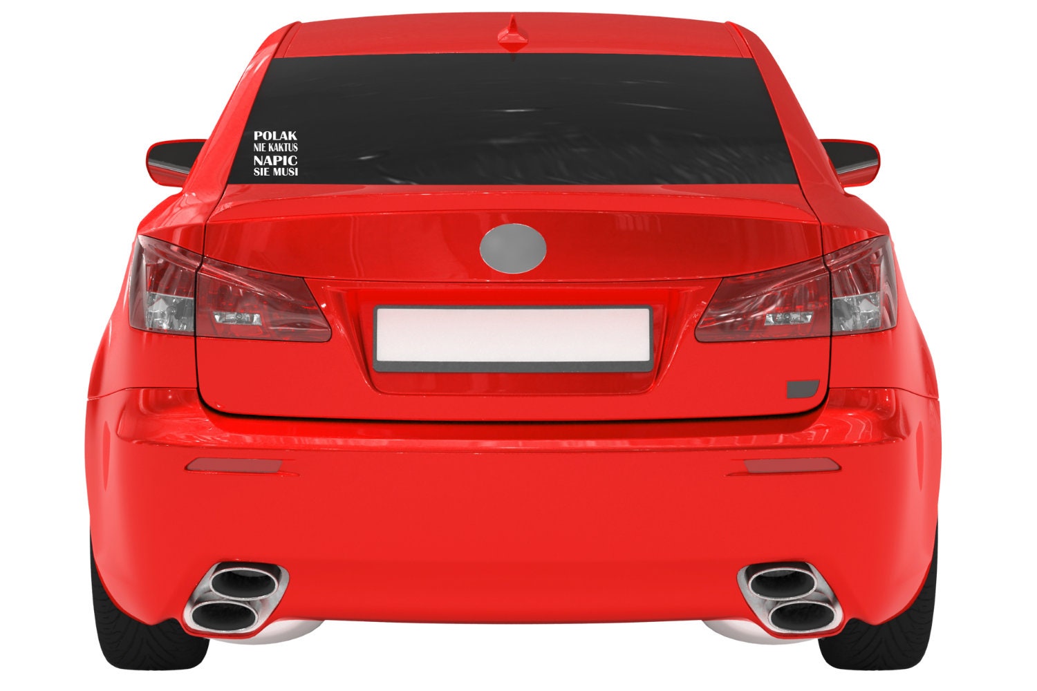 Polak Nie Kaktus Napic Sie Musi Vinyl Decalfunny Polish Gifts - Etsy