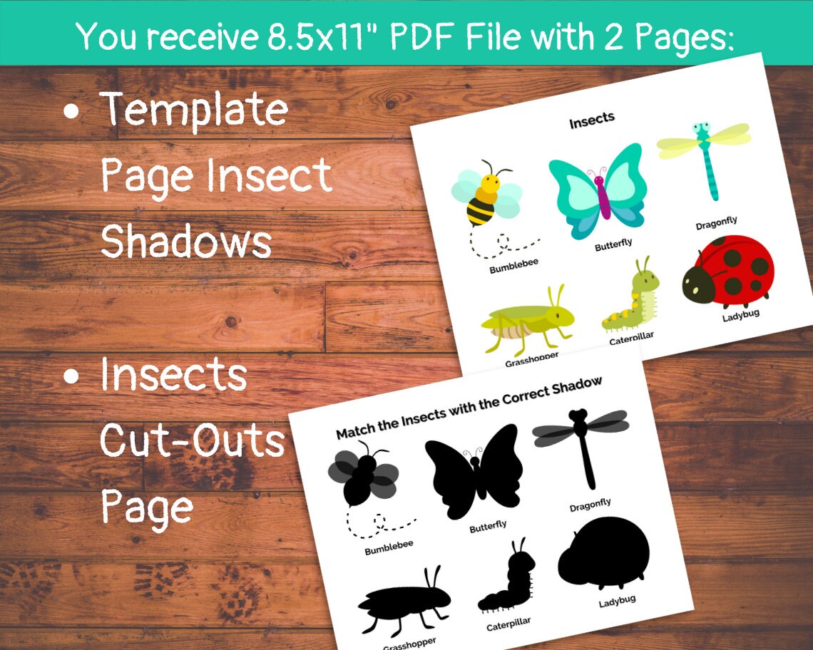 Preschool Worksheets Insect Shadow Matching Activity Learning - Etsy UK