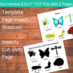 Preschool Worksheets Insect Shadow Matching Activity Learning Bugs ...