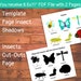 Preschool Worksheets Insect Shadow Matching Activity Learning Bugs ...