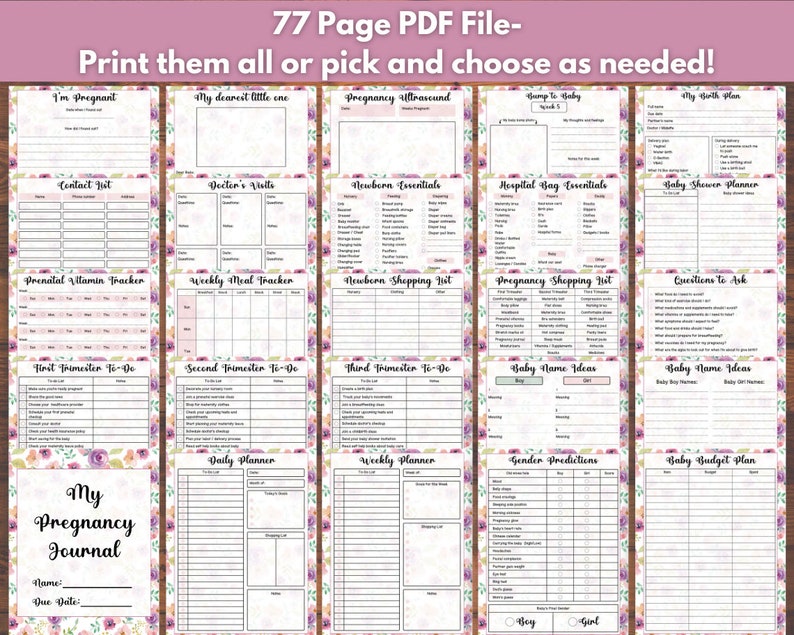 My Pregnancy Journal Printable PDF Weekly Planner Bump to Baby - Etsy