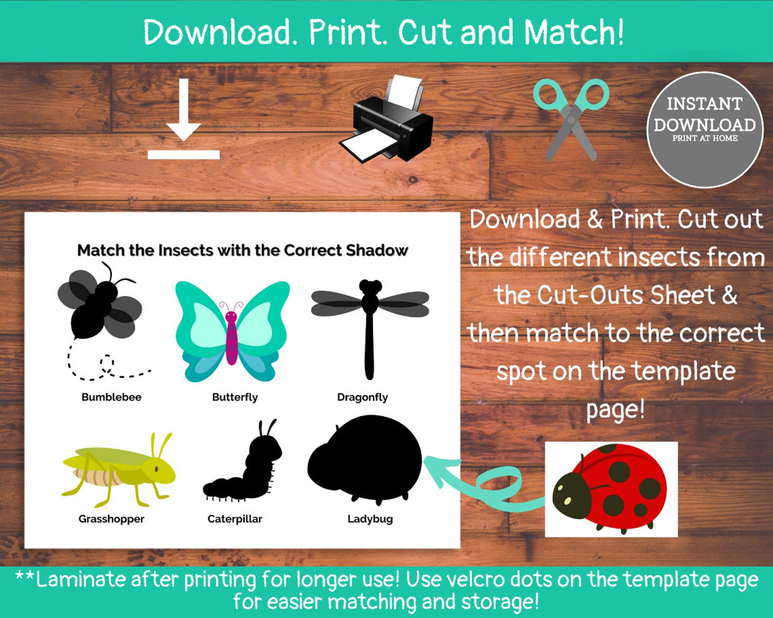 Preschool Worksheets Insect Shadow Matching Activity Learning - Etsy UK