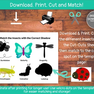 Preschool Worksheets Insect Shadow Matching Activity Learning Bugs ...
