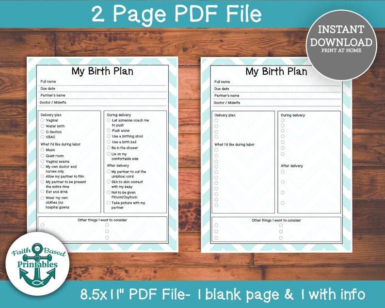 Birth Plan Template Simple Printable Birth Plan Checklist Aqua - Etsy