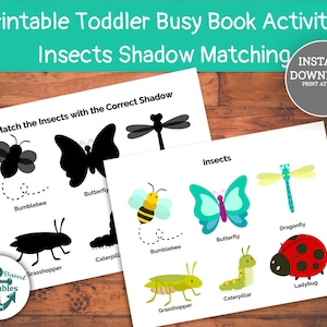Preschool Worksheets Insect Shadow Matching Activity Learning Bugs ...