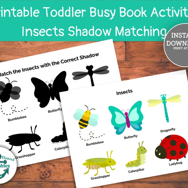 Preschool Worksheets Insect Shadow Matching Activity Learning Bugs ...