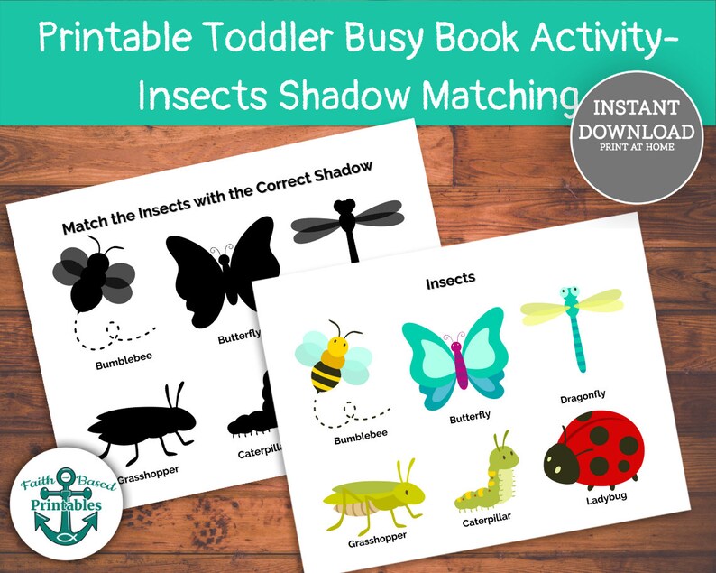 Preschool Worksheets Insect Shadow Matching Activity Learning - Etsy