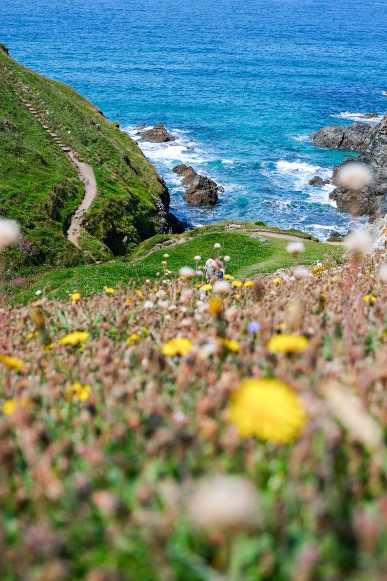 A Walk in the Cornish Hills - Digital Image - Etsy