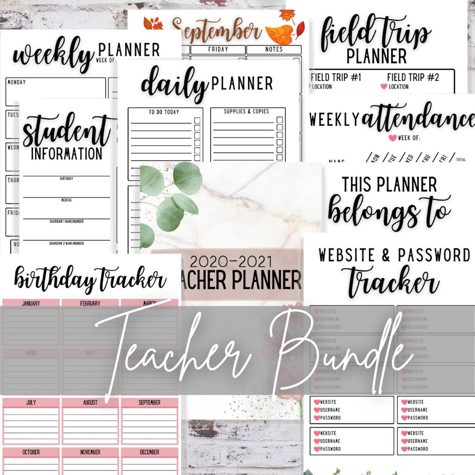 Student Information Organizer / Teacher Organization / Teacher | Etsy