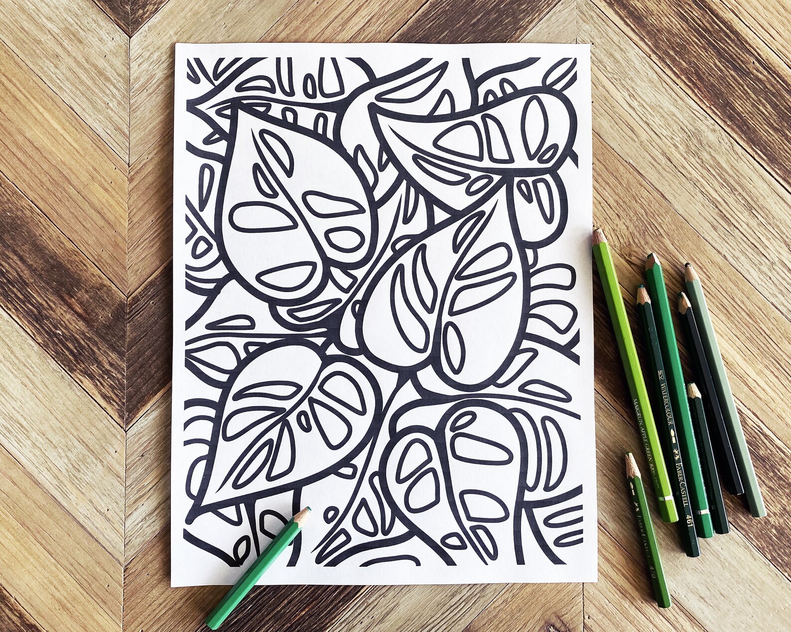 Plants Coloring, Digital Coloring Sheets, Adult Coloring Pages ...