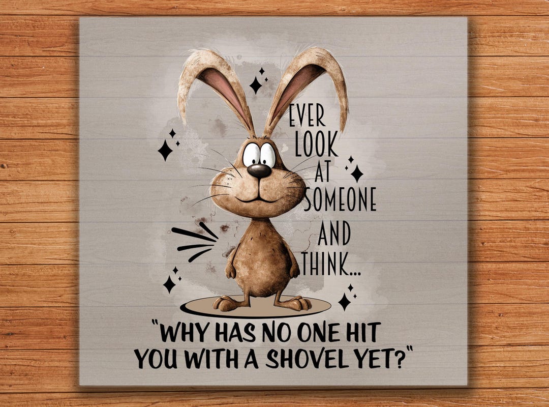 Sassy Rabbit DTF Transfer: Funny Quote, DIY Shirt Art - Etsy