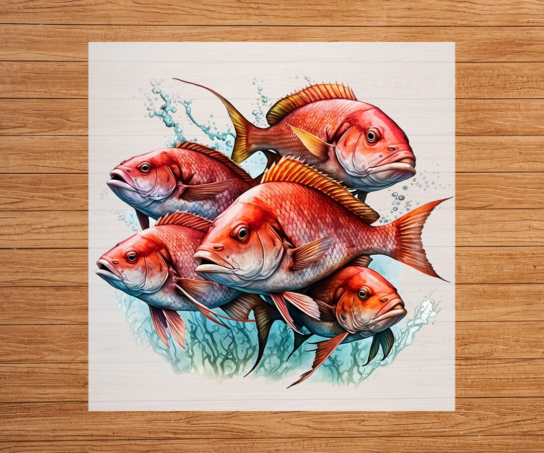 Red Snapper & Red Fish DTF Transfer Set Ideal for Fishermen's Hunting ...
