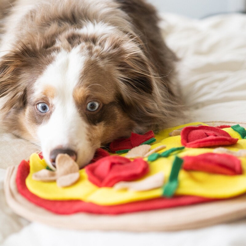 Snuffle Mat for Dogs - Etsy