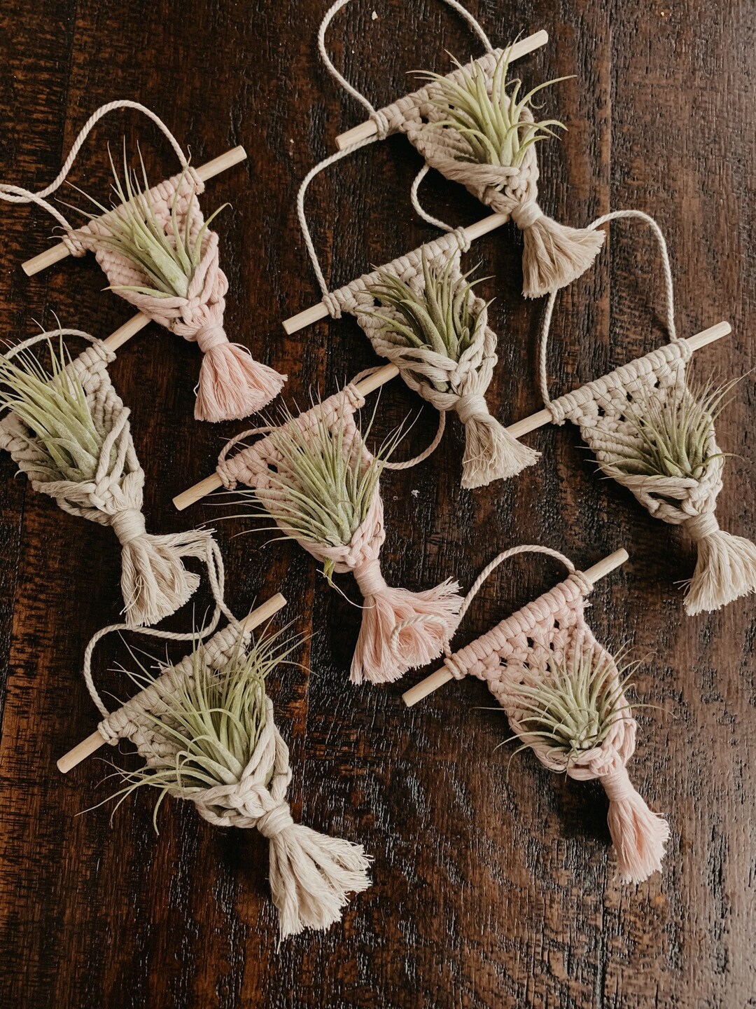 Mini Macrame Air Plant Hanger - Etsy