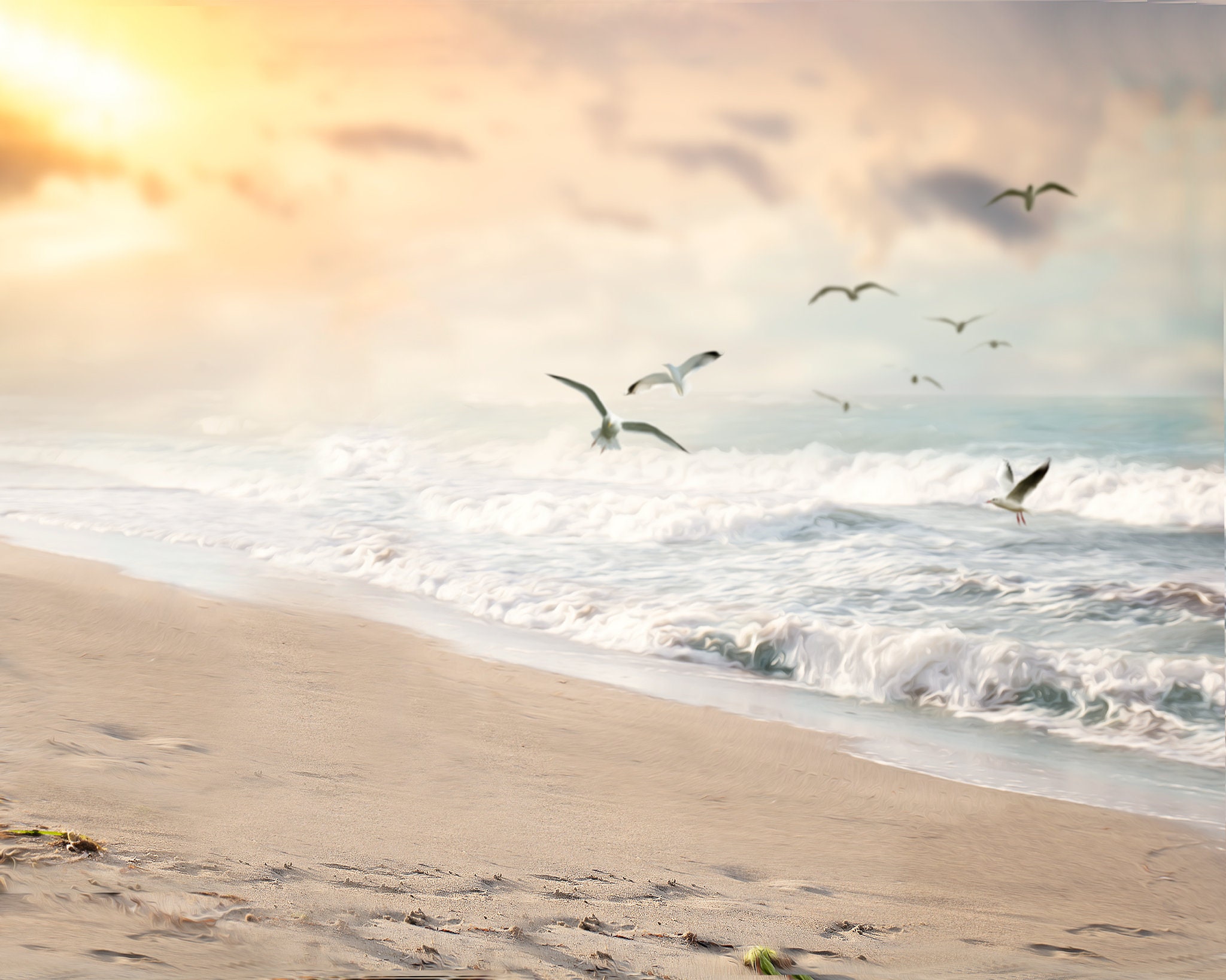 Photoshop Backgrounds Beach