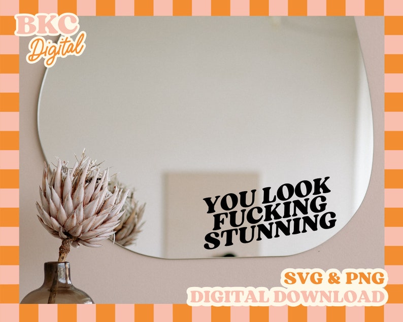 You Look Fucking Stunning SVG Cut File Mirror Decal Cut File Commercial ...