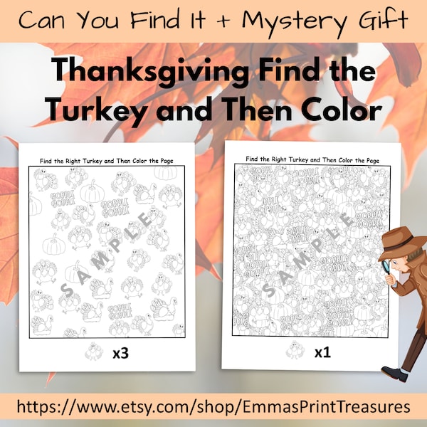 Seek and Find Coloring Pages - Etsy