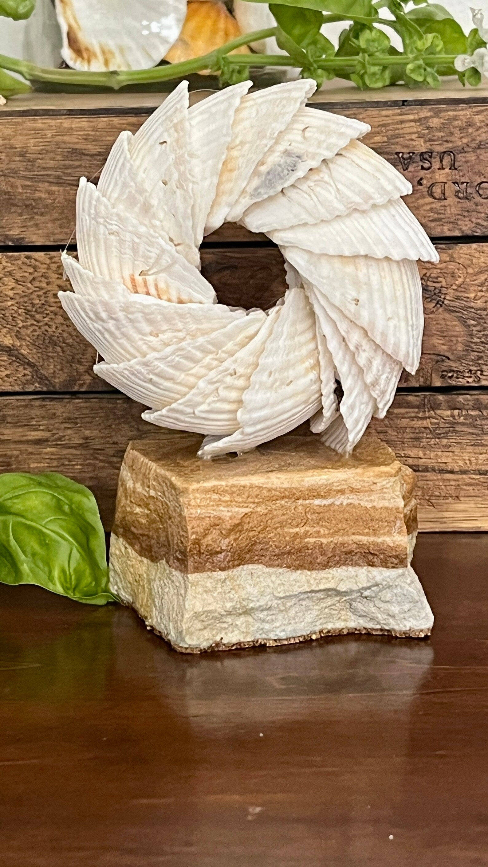 Scallop Cockle Shell Meditation Earth Sculpture With Flagstone Base ...