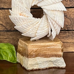 Scallop Cockle Shell Meditation Earth Sculpture With Flagstone Base ...