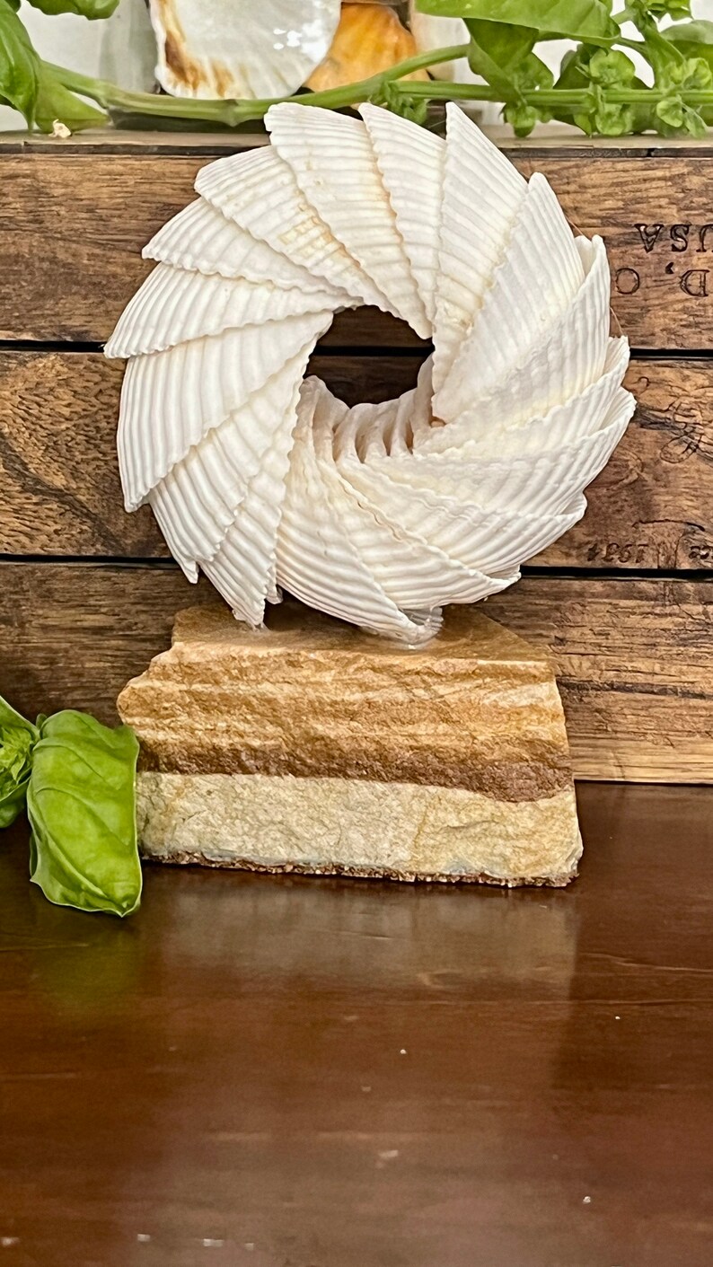 Scallop Cockle Shell Meditation Earth Sculpture With Flagstone Base ...