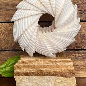 Scallop Cockle Shell Meditation Earth Sculpture With Flagstone Base ...