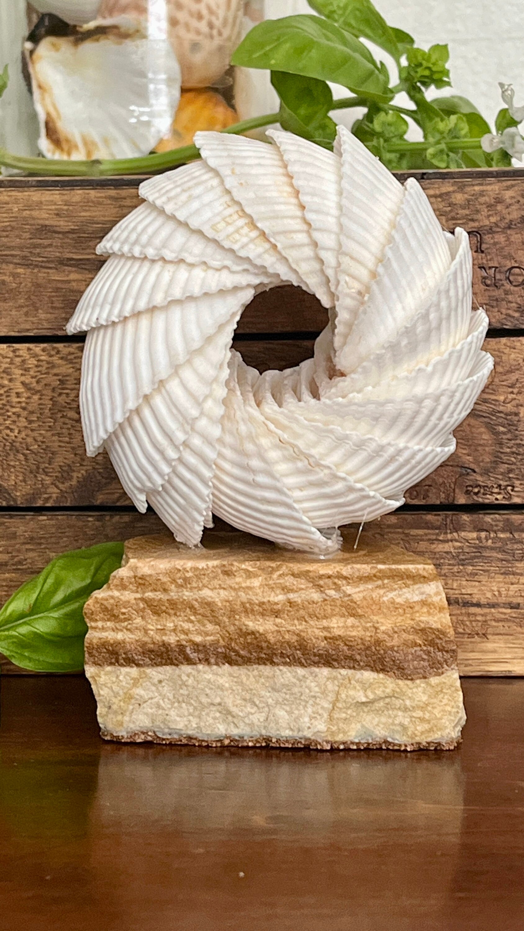 Scallop Cockle Shell Meditation Earth Sculpture With Flagstone Base ...