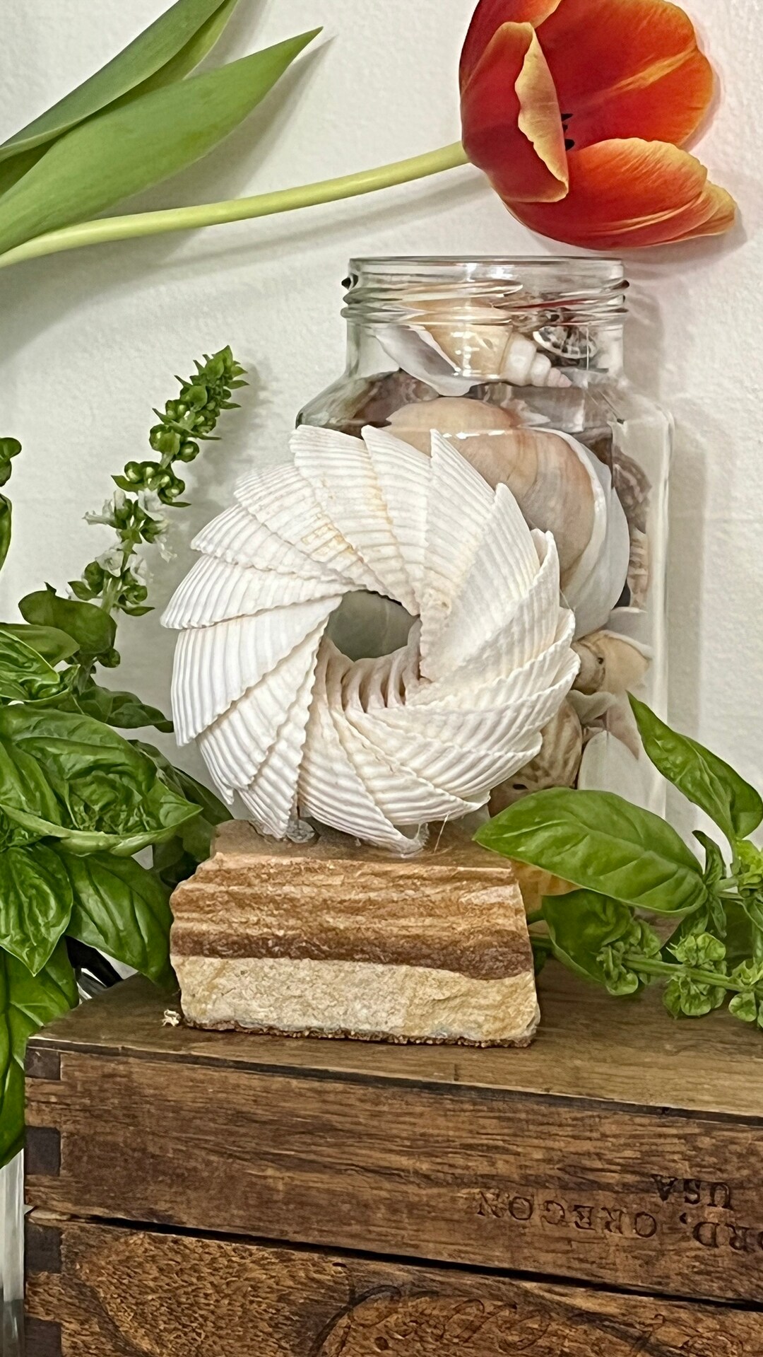 Scallop Cockle Shell Meditation Earth Sculpture With Flagstone Base ...
