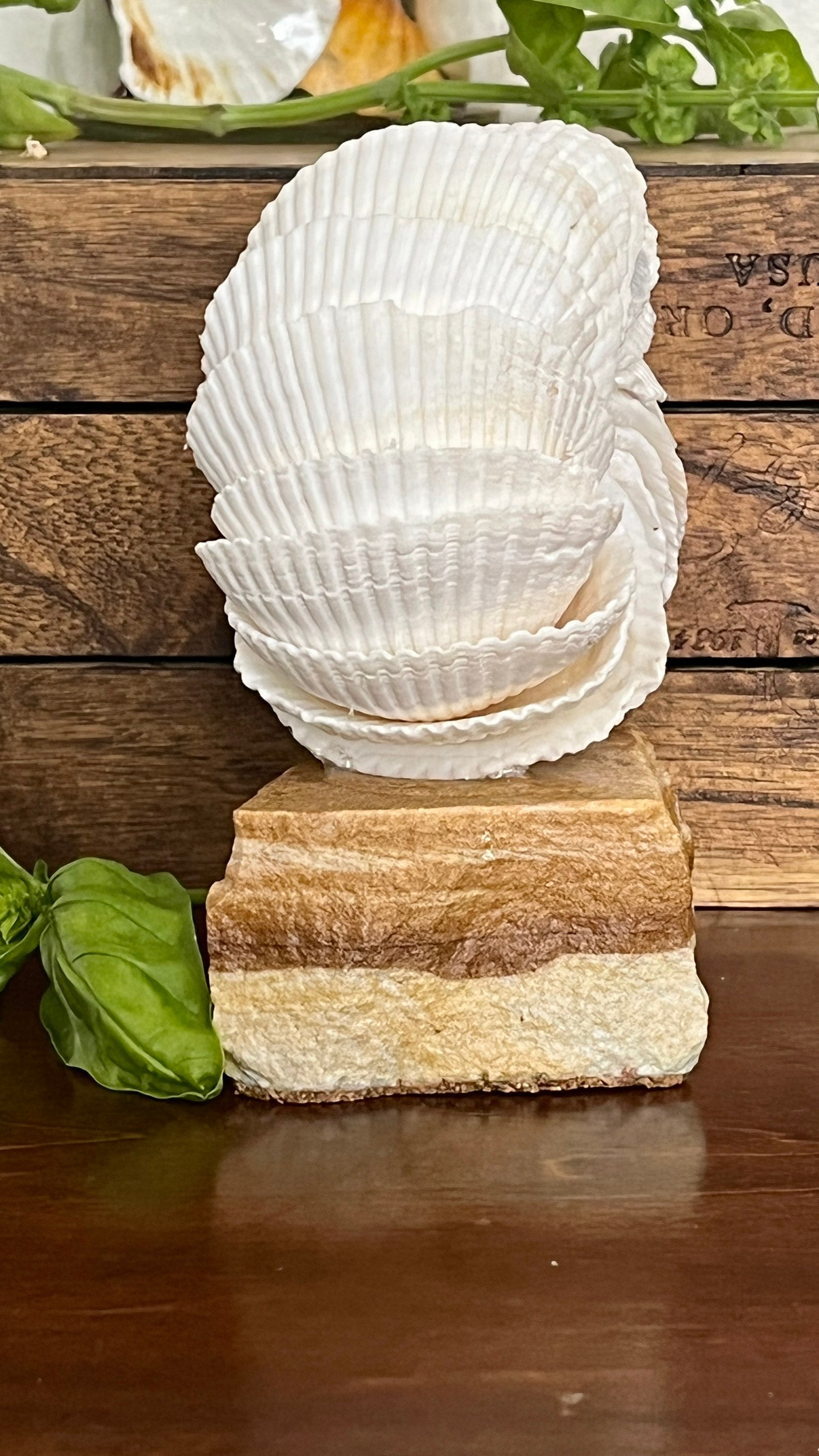 Scallop Cockle Shell Meditation Earth Sculpture With Flagstone Base ...