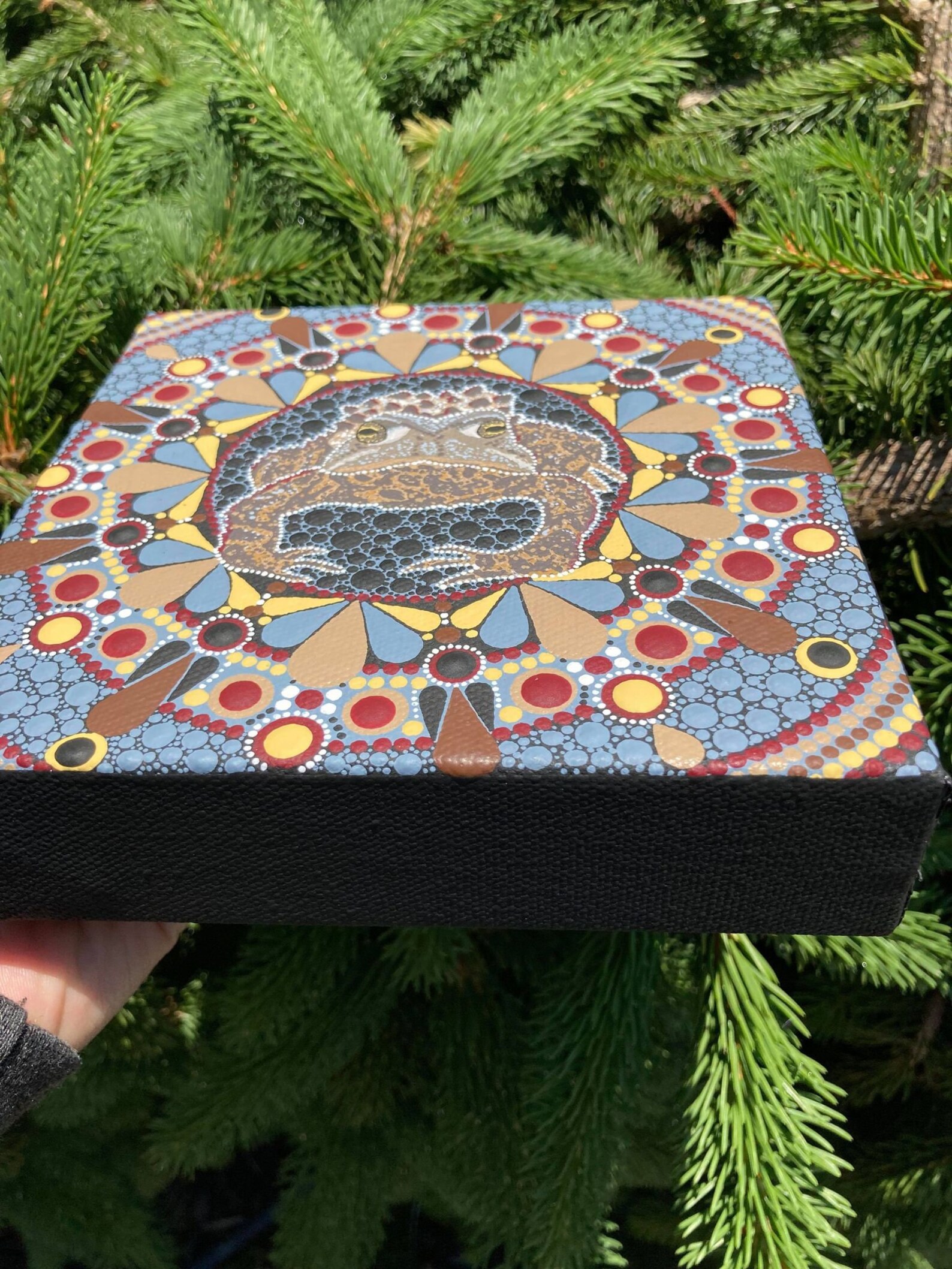 Toad Dot Art, Toad Dot Mandala Art, Toad Art, Toad Hand Painted Canvas ...