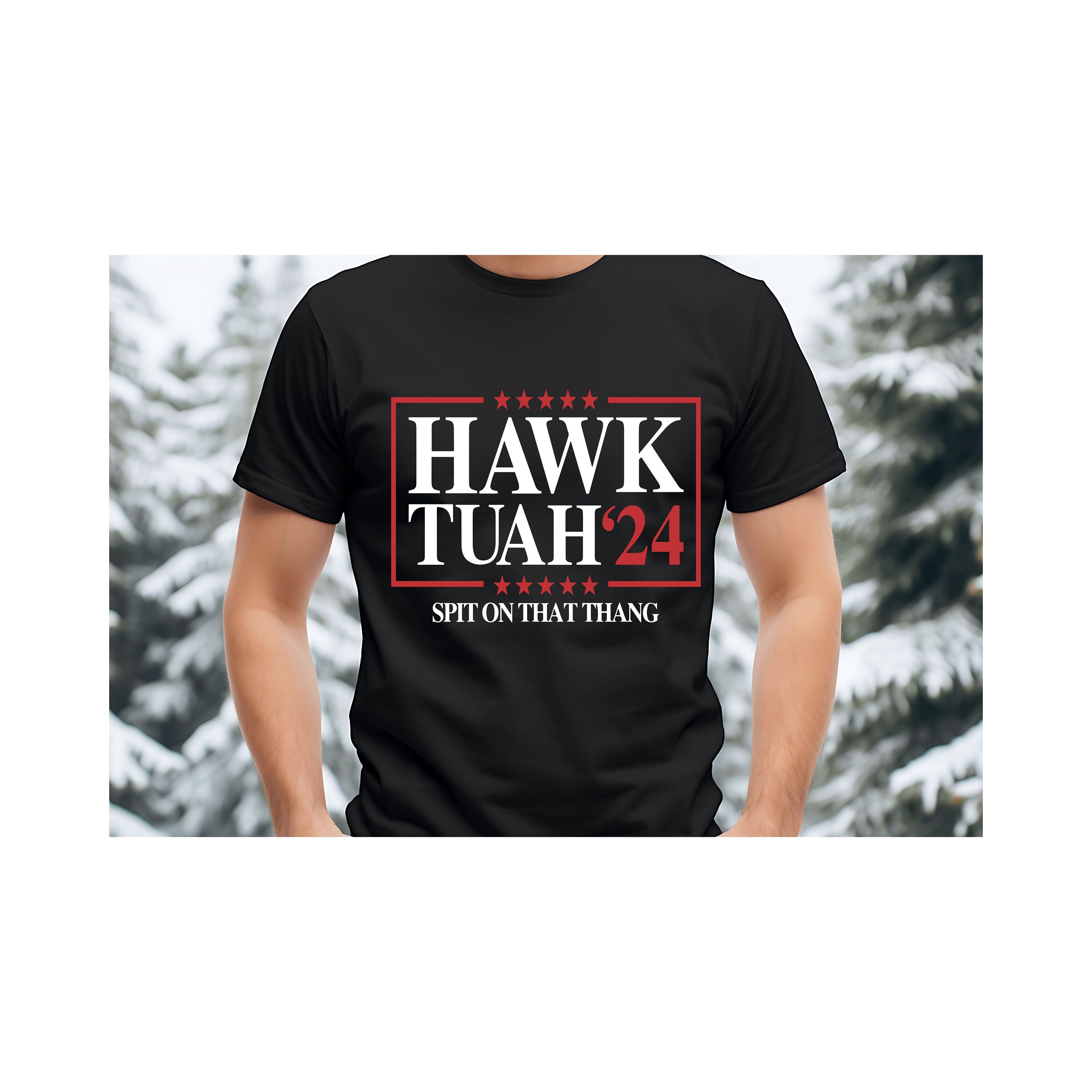 Hawk Tuah Spit on That Thang Shirt, Tiktok Viral Tee, Hawk Tuah 24 Tee ...