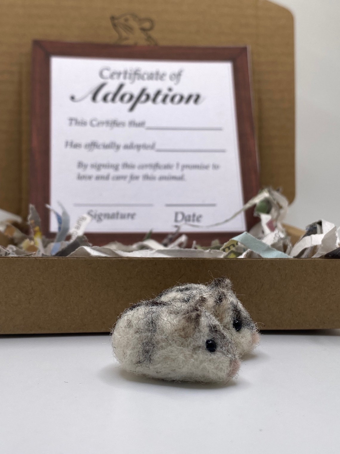Mini Personalised Hamster Gift Box With Adoption Certificate. Mini ...