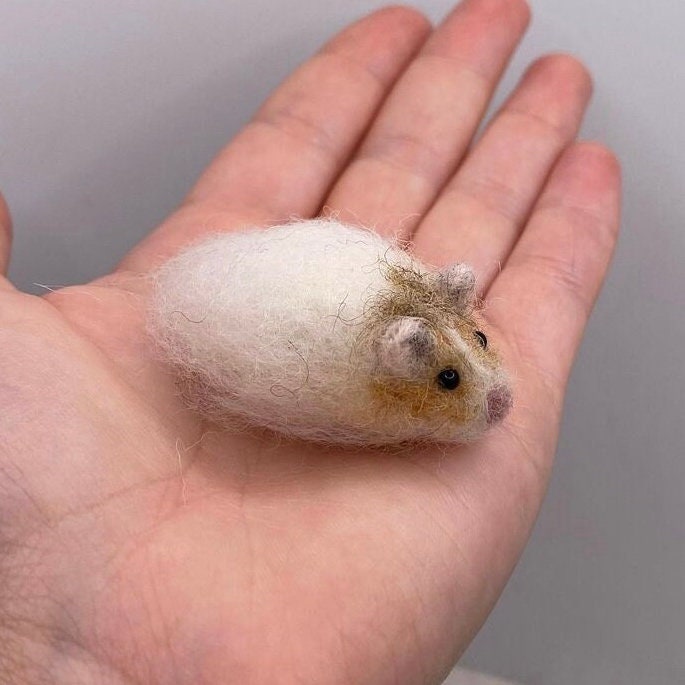 Worlds Smallest Hamster