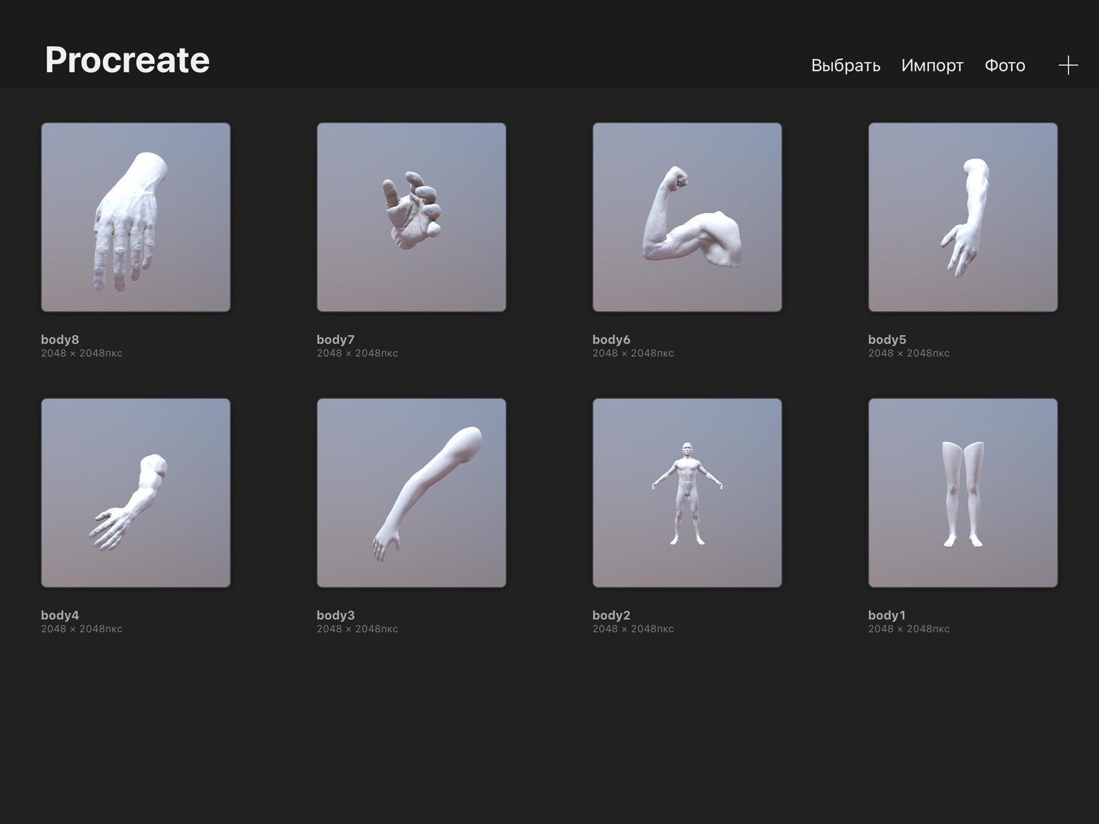 Procreate 3D Body Models: Human Anatomy Base (USDZ Digital Download) - Etsy