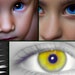 Eyes Brushes, Iris Brushset Procreate, Makeup Stamps, Digital Textured ...