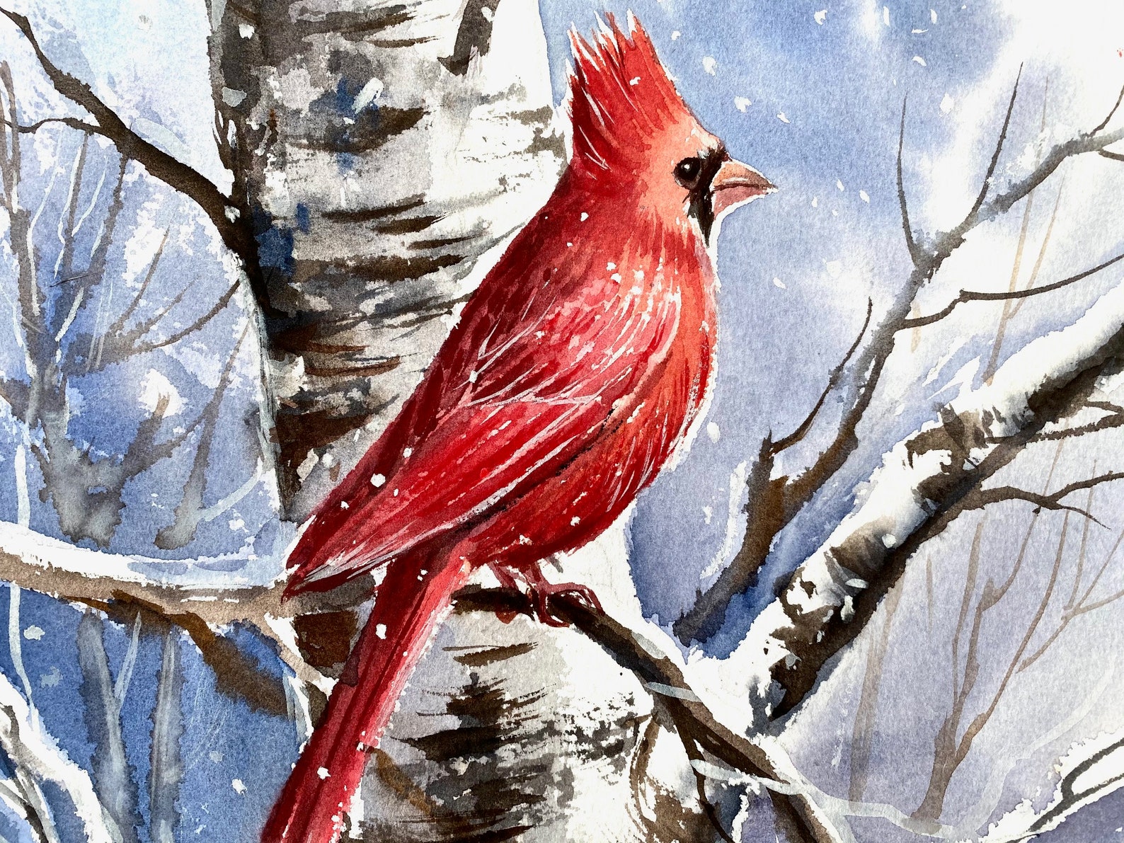 Cardinal Painting Original Watercolor Birch Tree Painting | Etsy