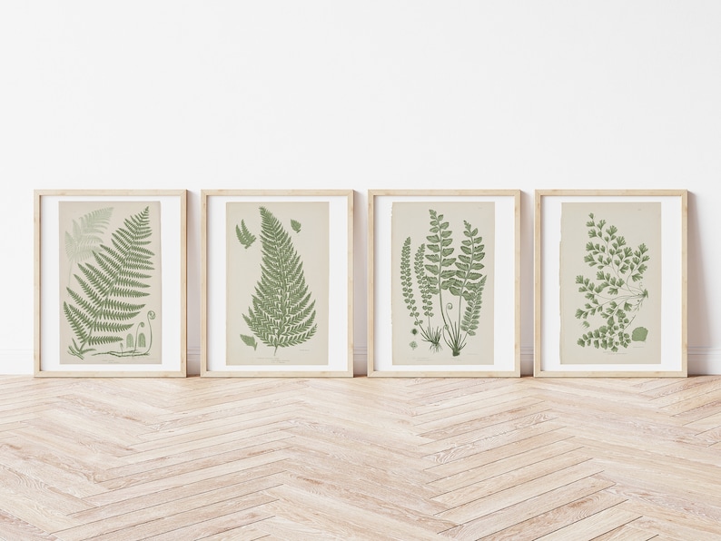Vintage Fern Botanical Gallery Wall Print SET of 4 | Rustic Wall Decor ...