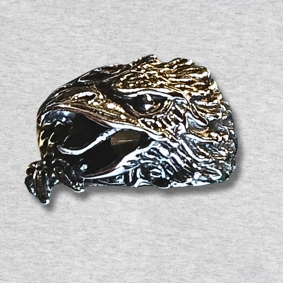 Viking Odin Crow Ring | Nordic Raven Biker Jewelry | Stainless Steel ...