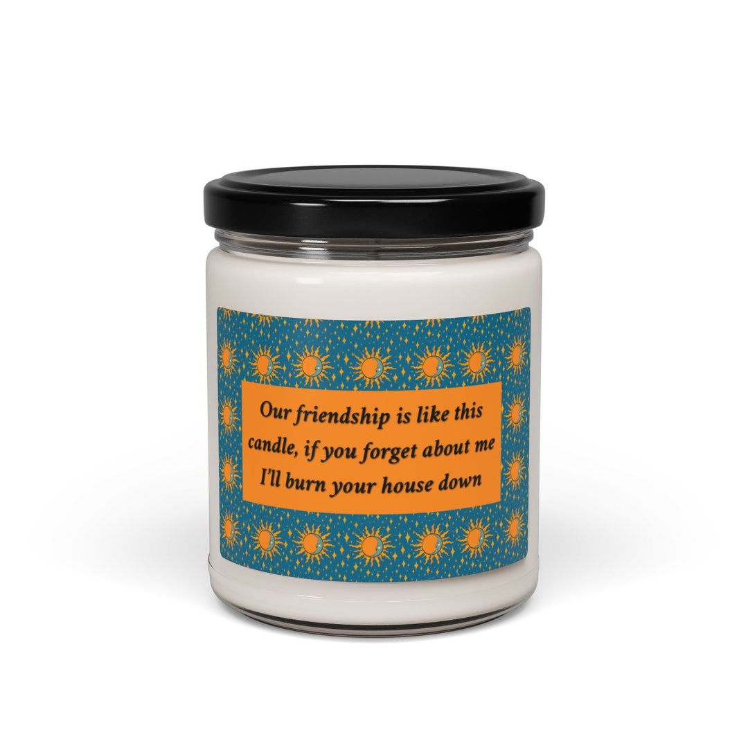 Our Friendship is Like This Candle Sun and Moon Funny Candle Gift ...