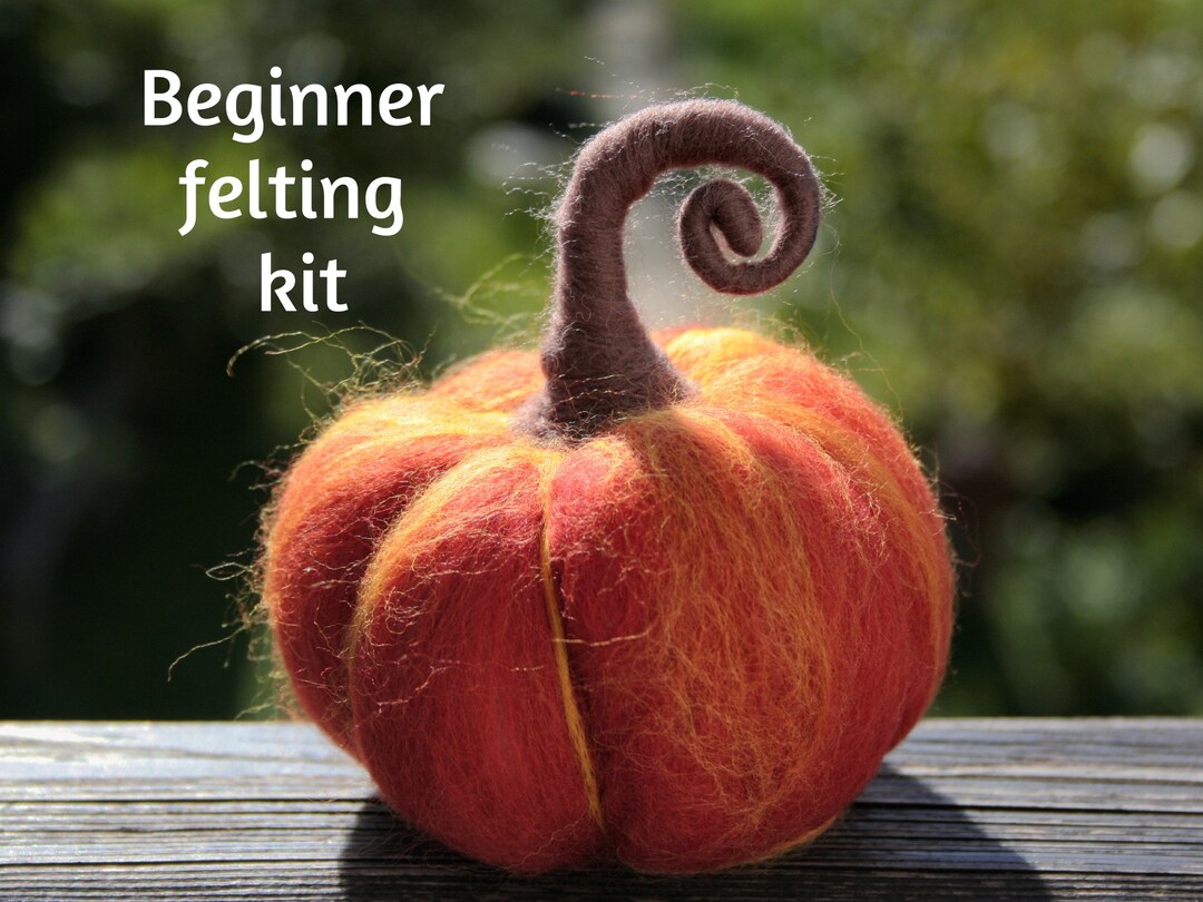 Pumpkin Felting Kit for Beginners - Needle Felted Pumpkin Kit With ...