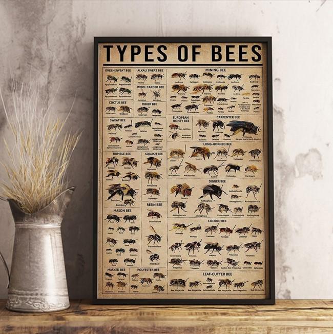 Types of Bees Knowledge Poster, Bee Knowledge Print Poster Wall Art ...
