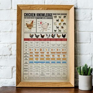 Chicken Knowledge Poster, Version :2, Chicken Home Decor Wall Art ...