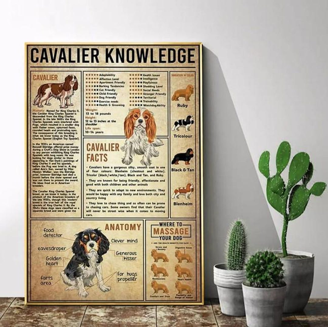 Cavalier Knowledge Poster, Funny Dog Facts Wall Art, Pet Lovers Gift ...